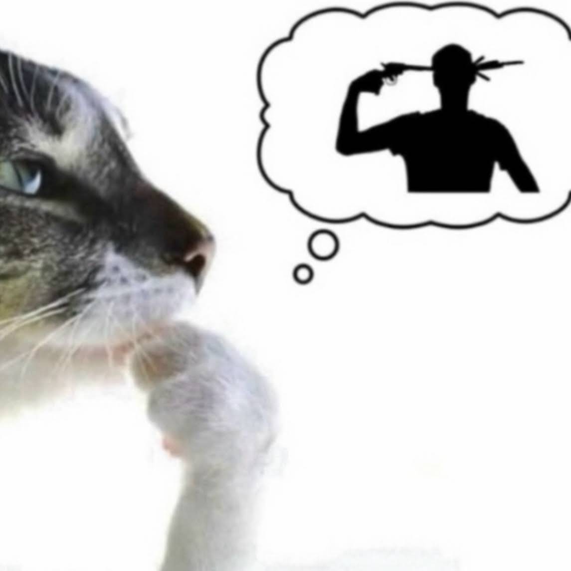 Post from Cashrainer