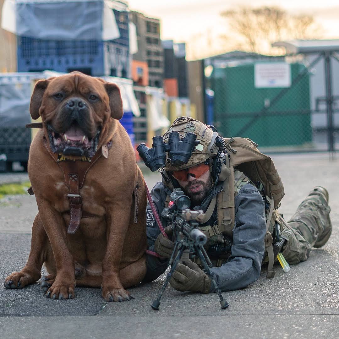 Post from TrueMobster