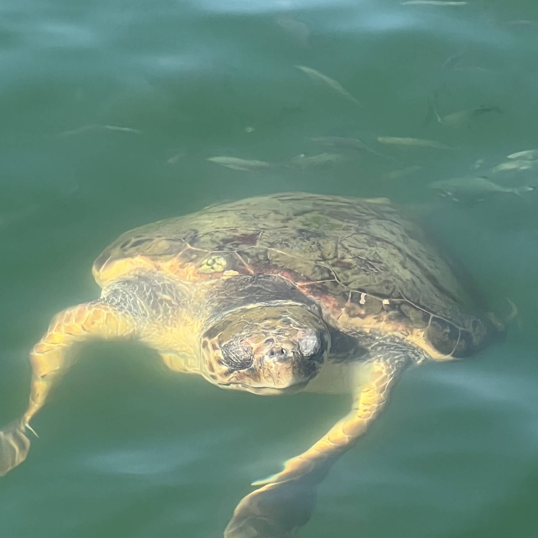 Post from Nicky Alan Psychic Medium