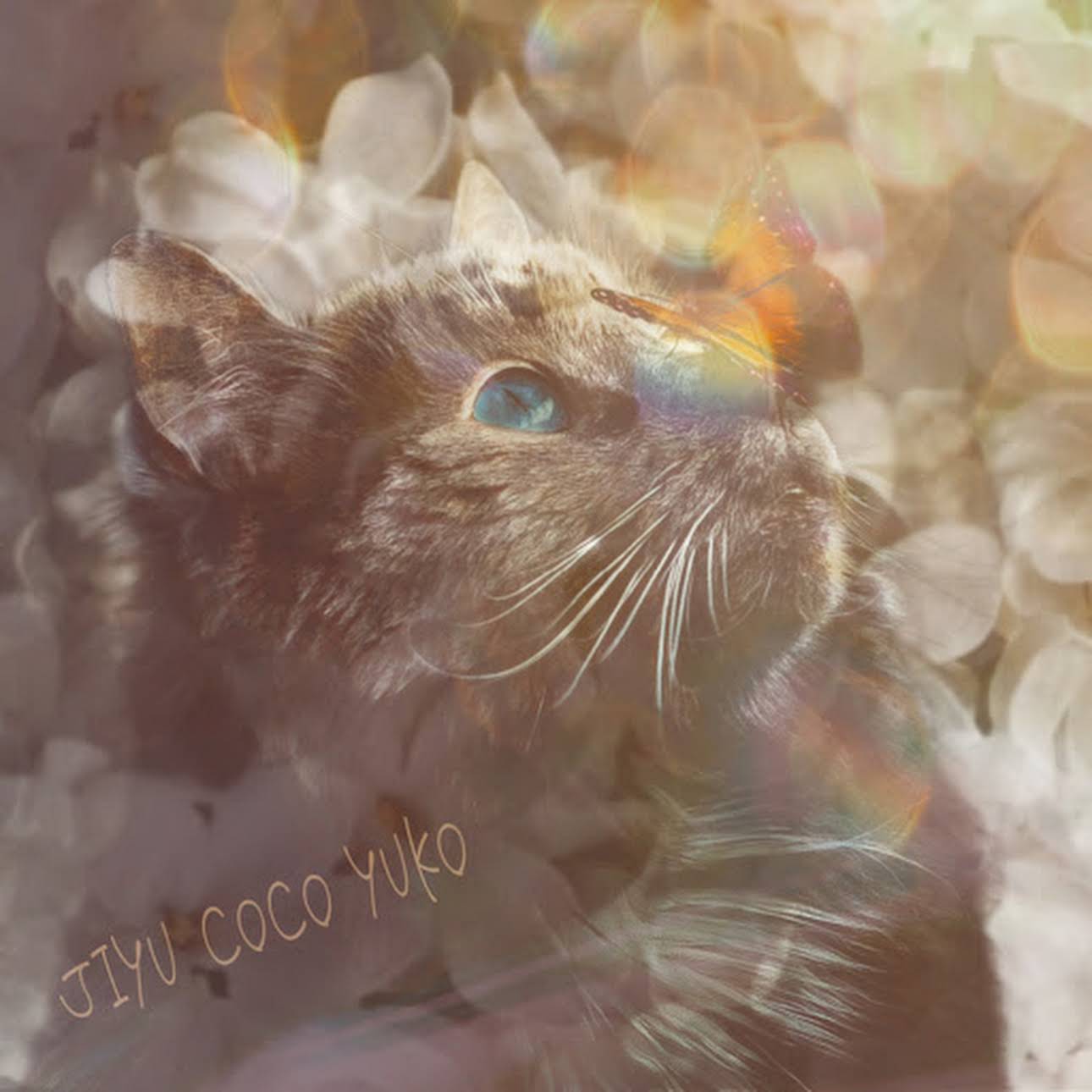 Post from Jiyu CoCo YUKO Ryu