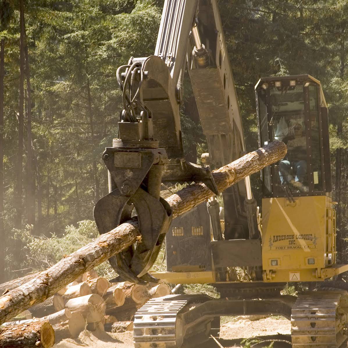 Post from Forestry Journal