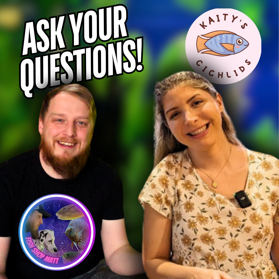 Post from Fish Shop Matt