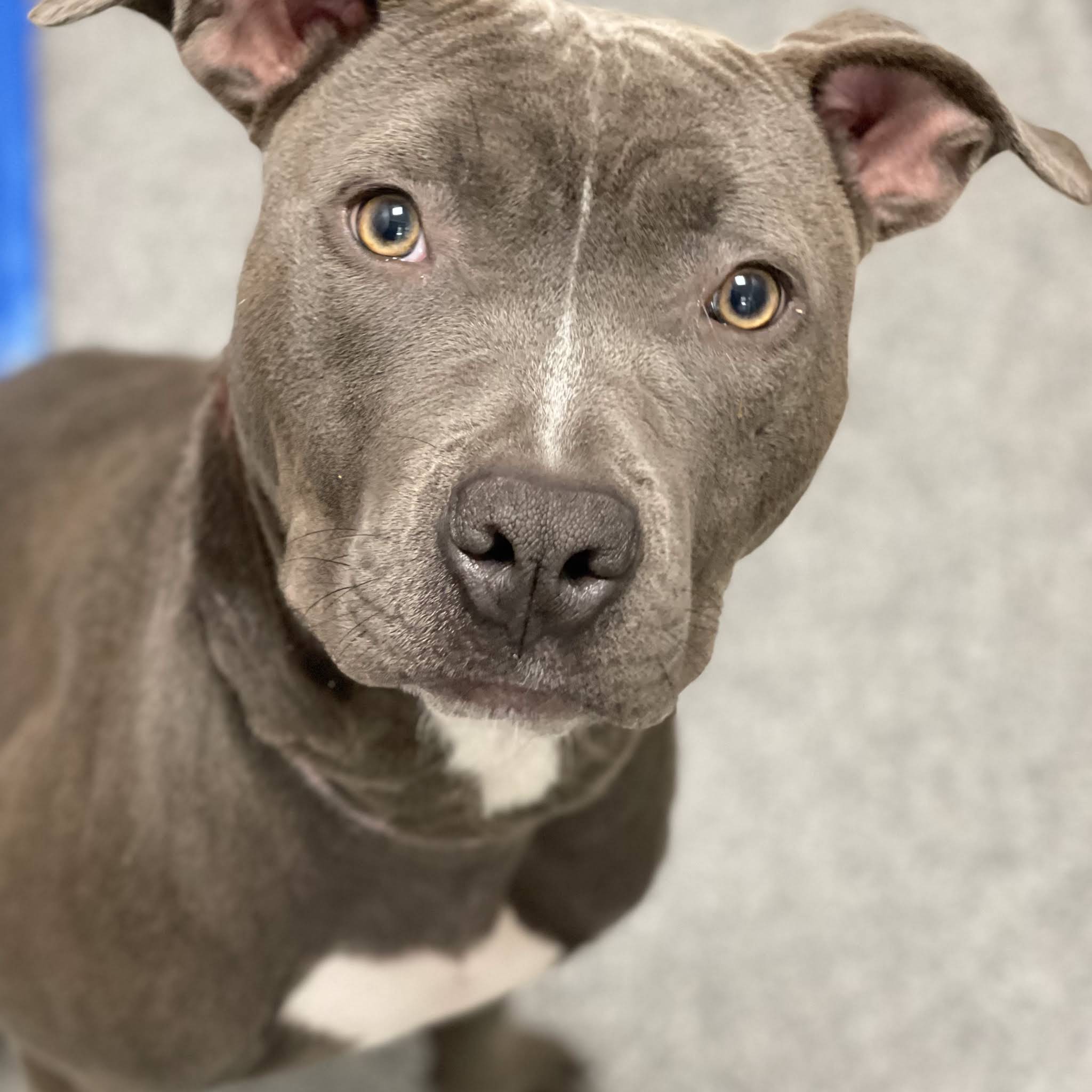 Post from Vet Ranch RoundUp