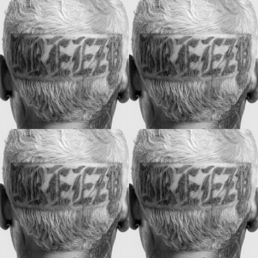 Chris Brown 'Breezy' Album