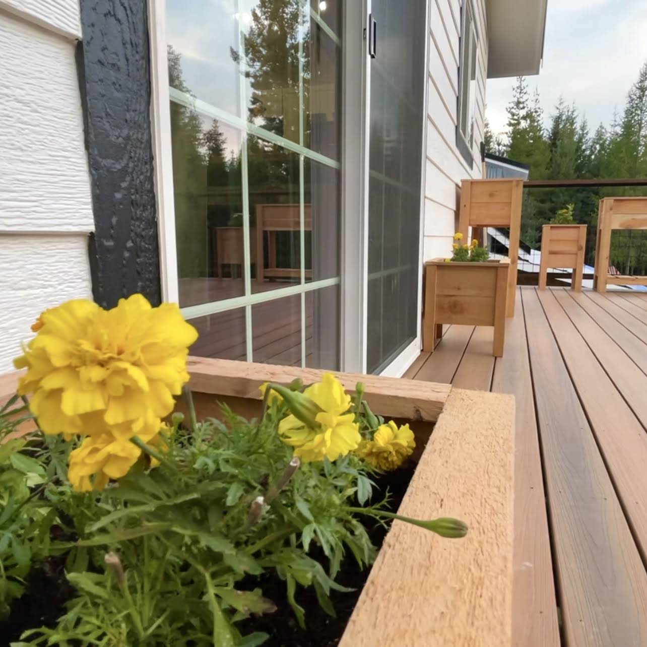 Post from Martin Johnson - Off Grid Living