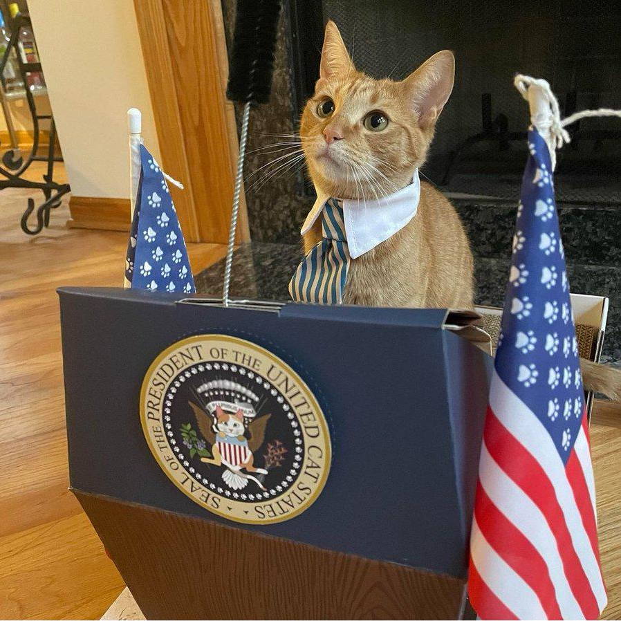 Post from Void_Meows☁