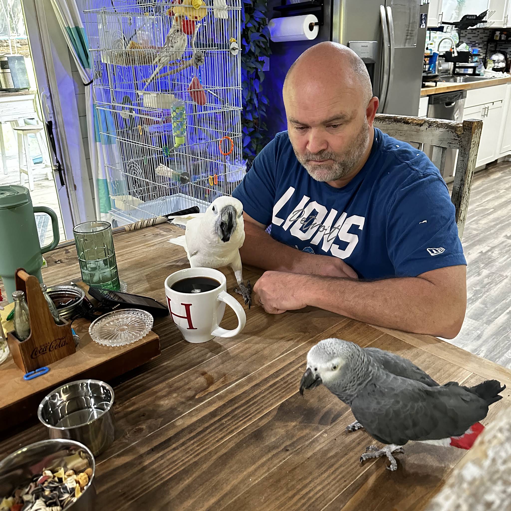 Post from Buster The Cockatoo