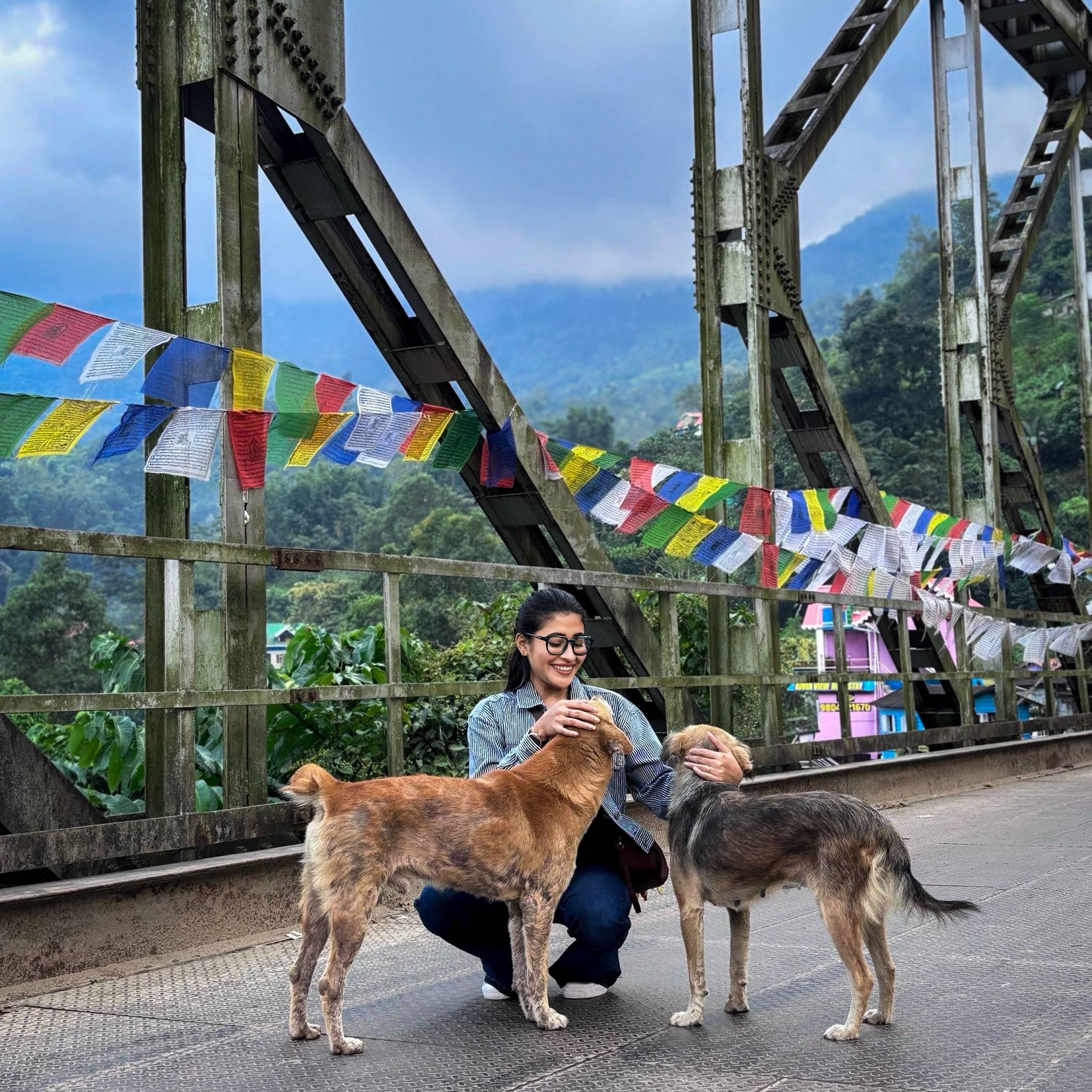 Post from Ivy Ghosh