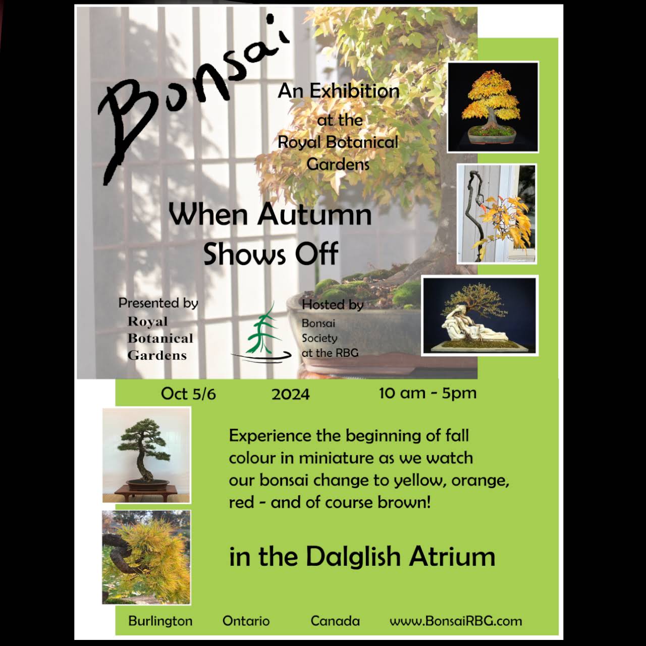 Post from Nigel Saunders, The Bonsai Zone