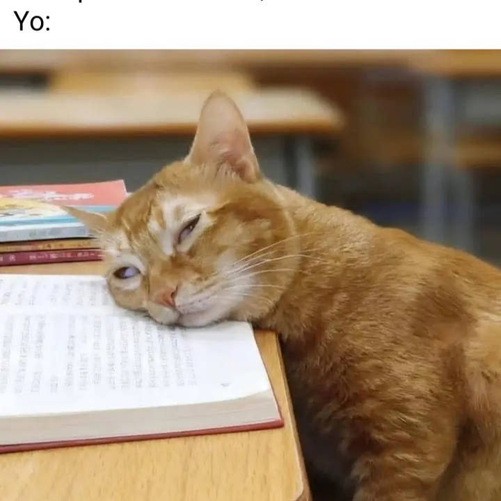Post from HOLA_Yo_soy_John Bonachon.