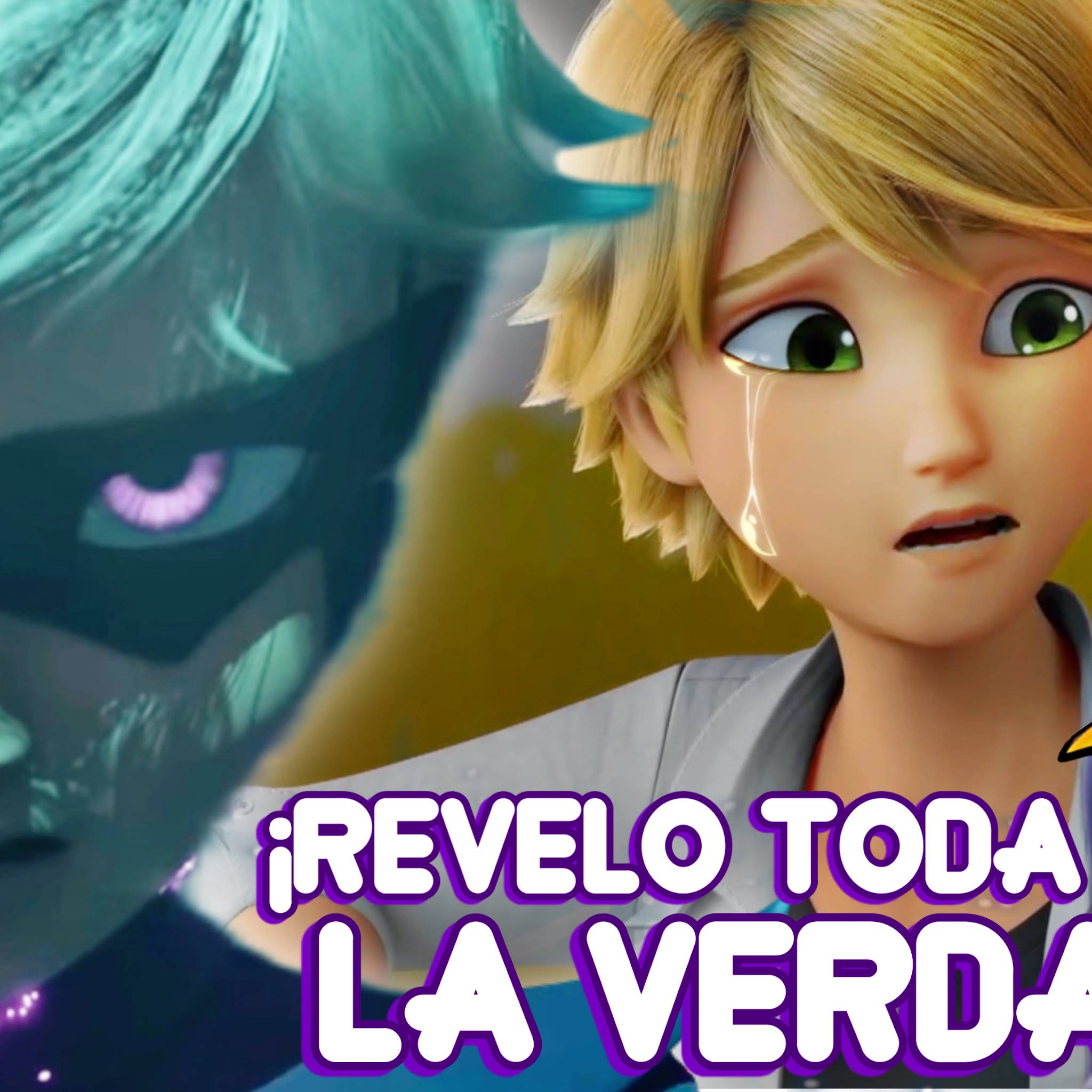 Post from Kitty Section