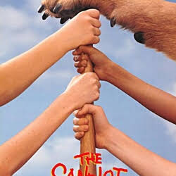 Post from Donovan Oliver