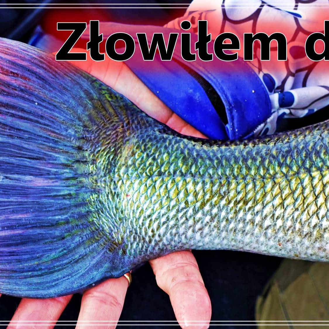 Post from MK Fishing (Marcin Kotowski)