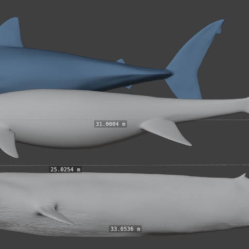 Post from Dizzy Rose