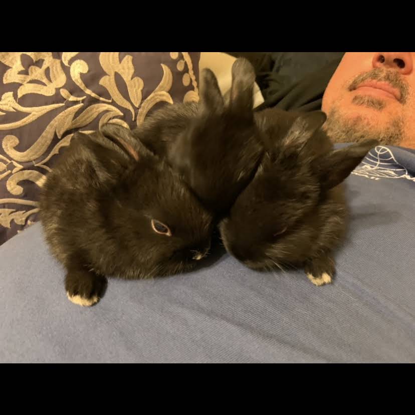 Post from Cookie Blitz