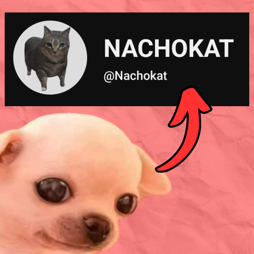 Post from EL PERRITO DE ROBLOX