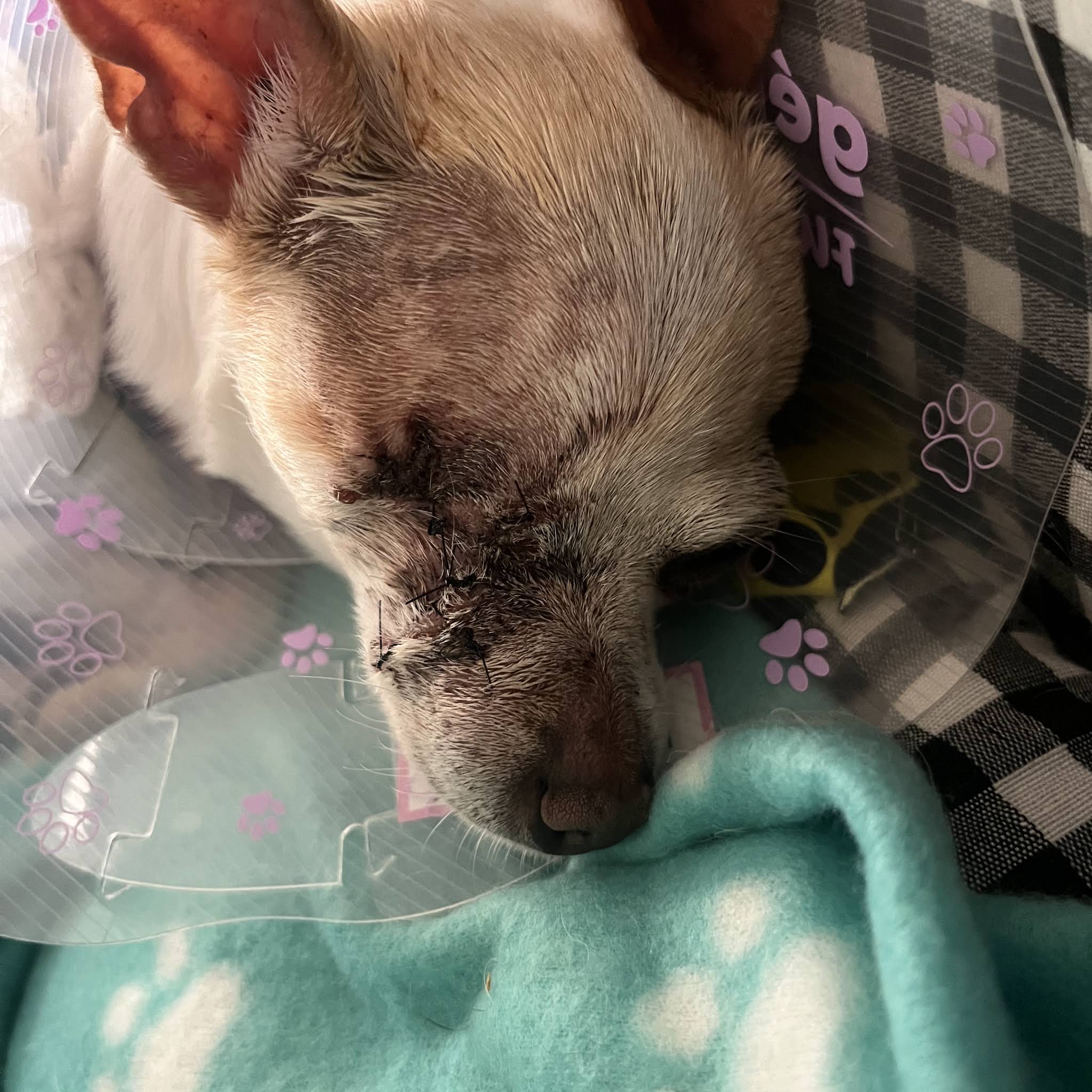 Post from Less Lethal for Dummies