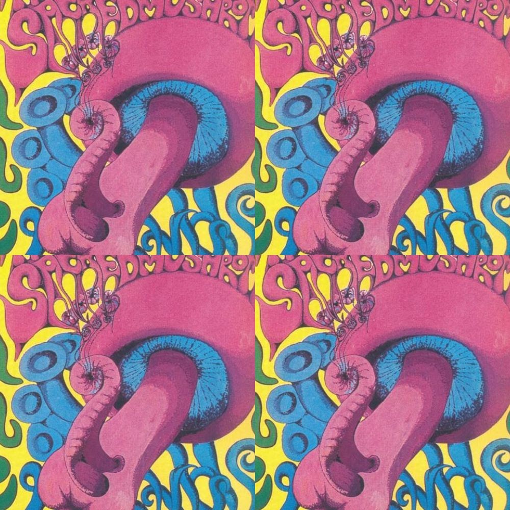 you've been psychedelicized ------- 60s/70s Psychedelic Rock