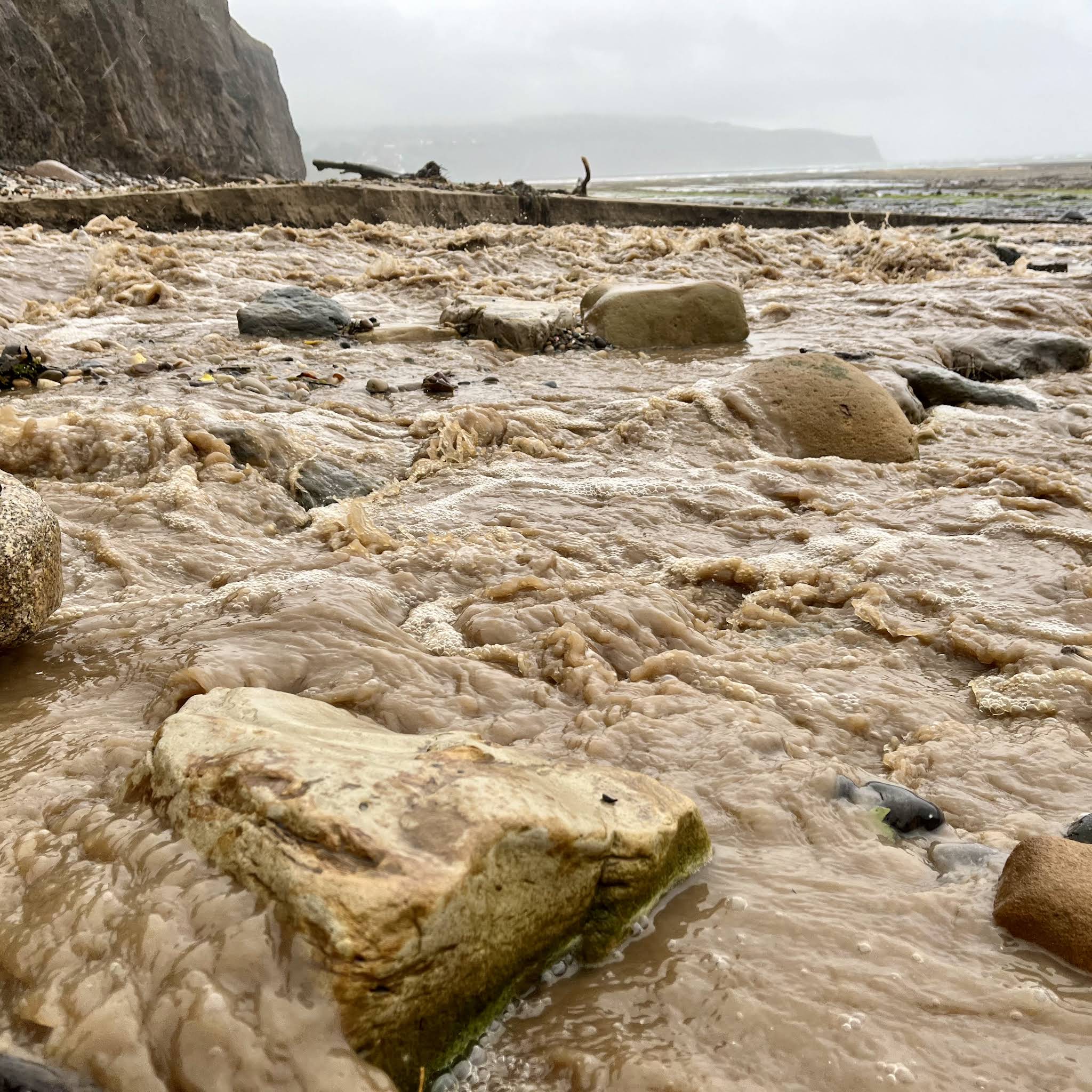 Post from Forgotten Fossils