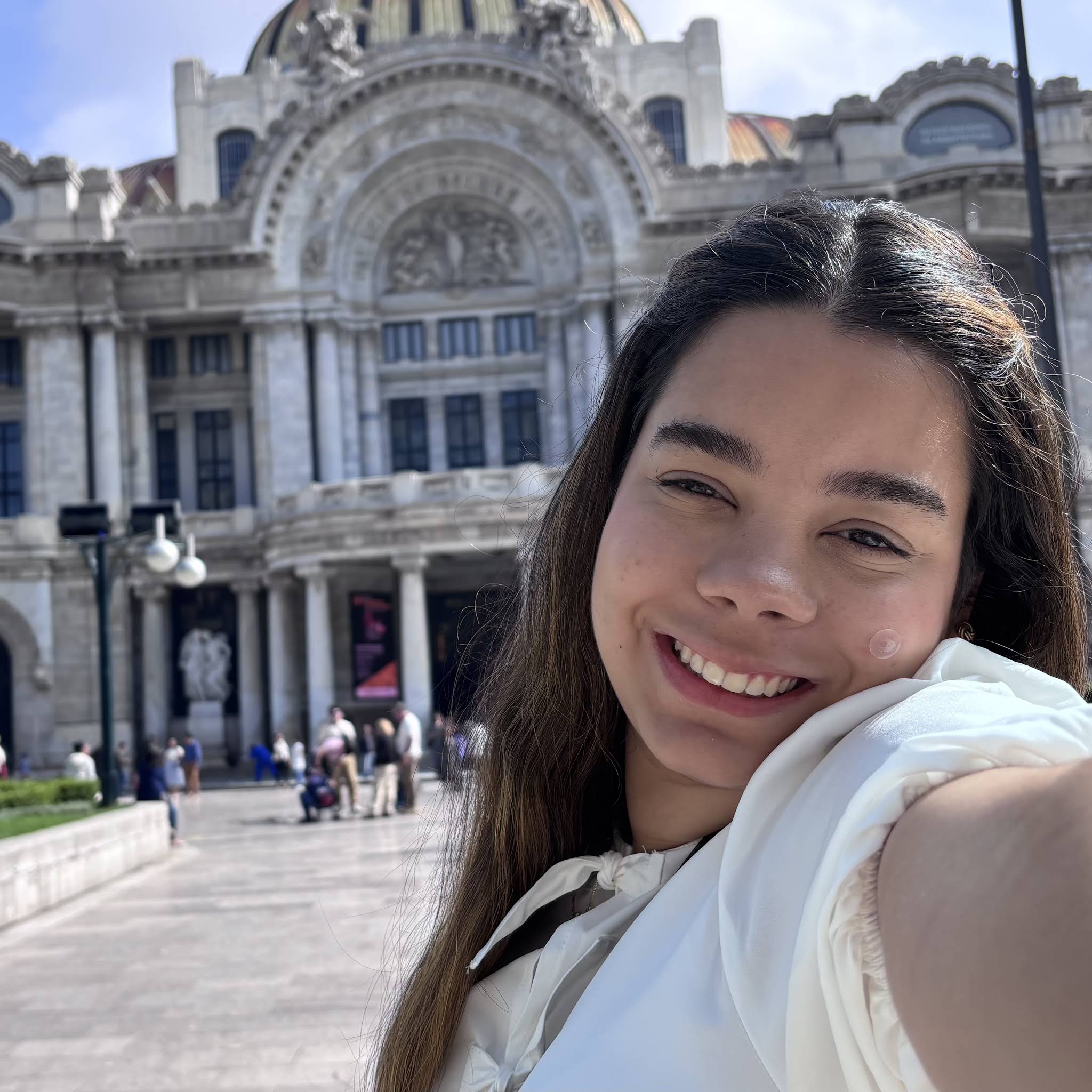 Post from Alita's World
