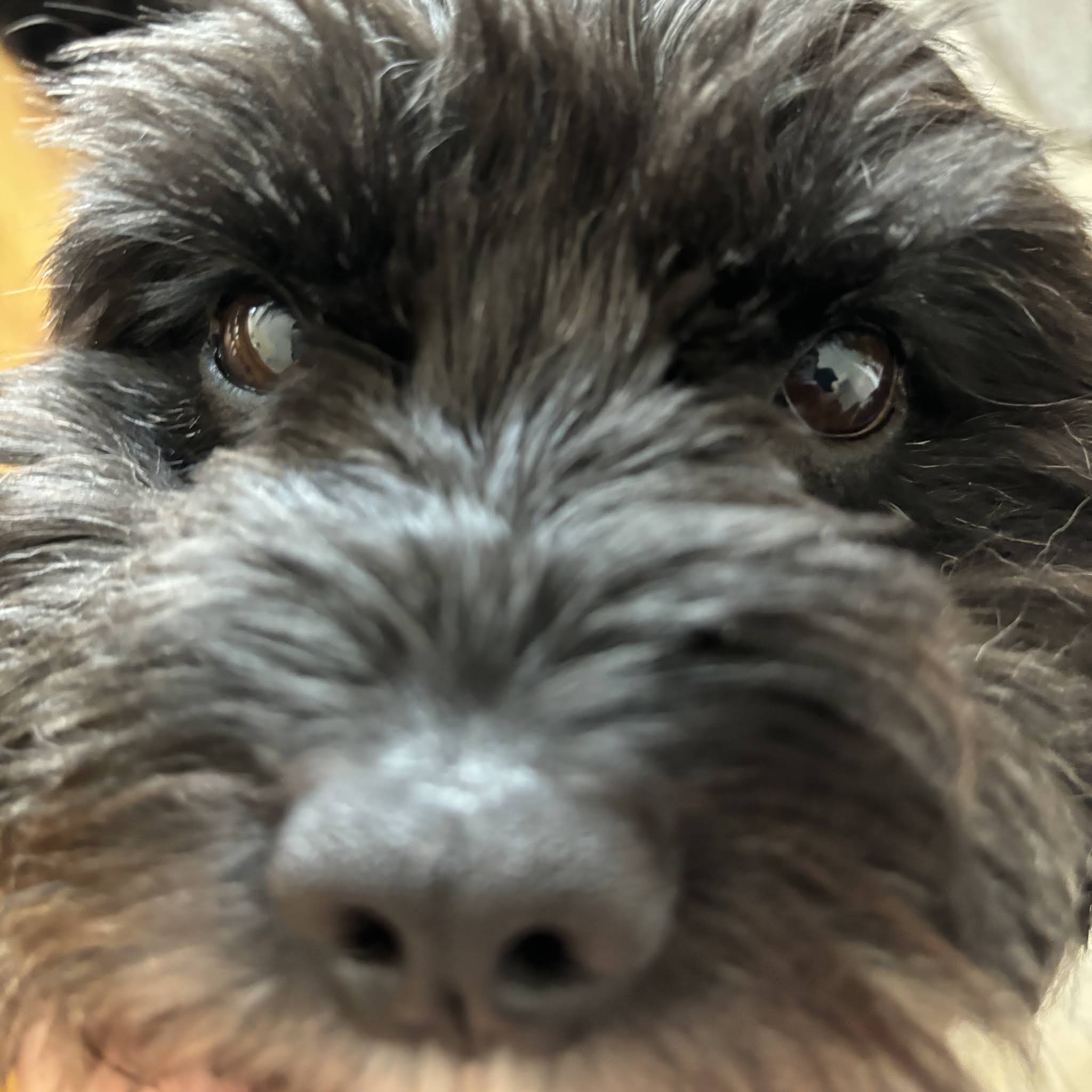 Post from Jenkinator