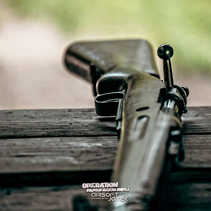 Post from the Bolt Action Dude