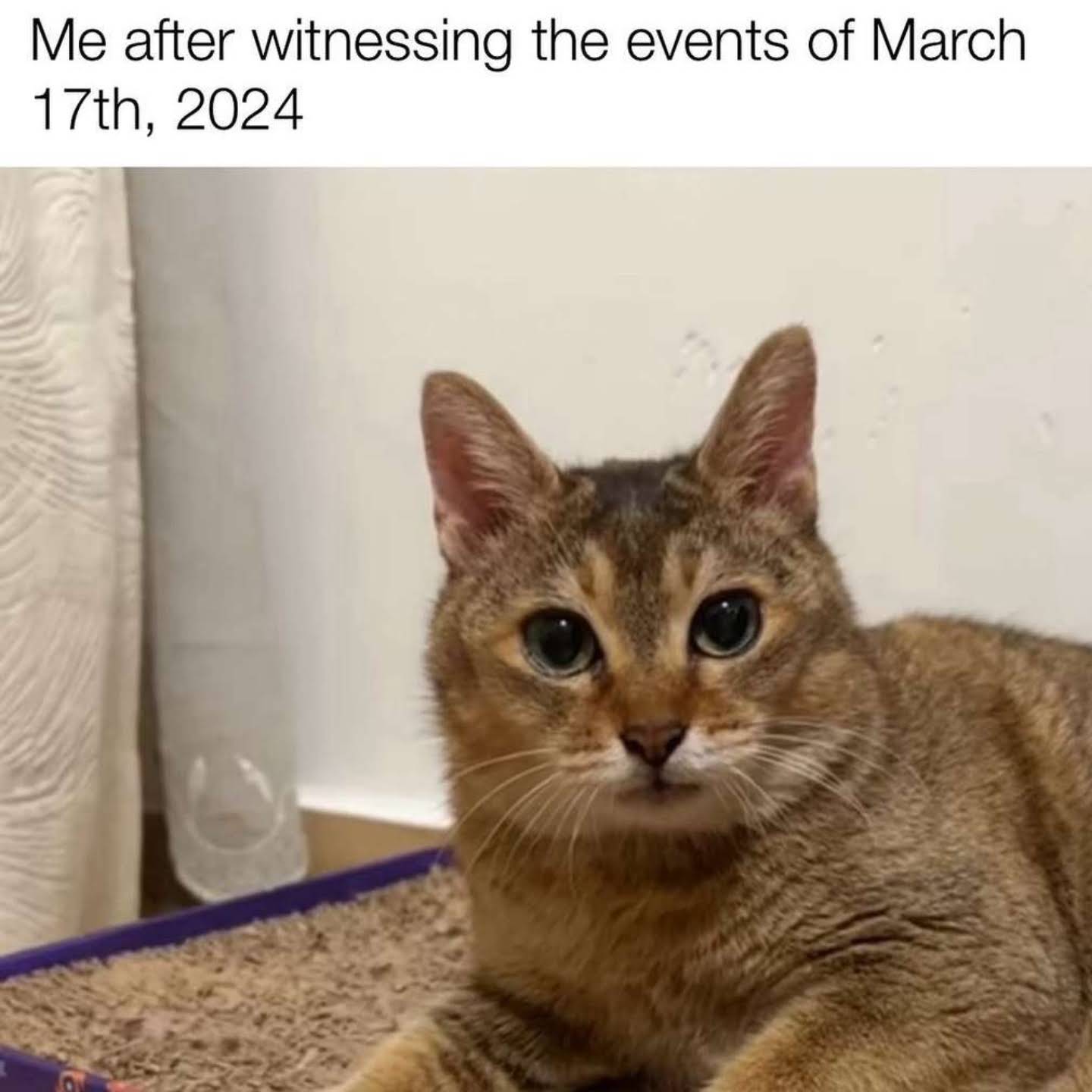 Post from Sillius The Third