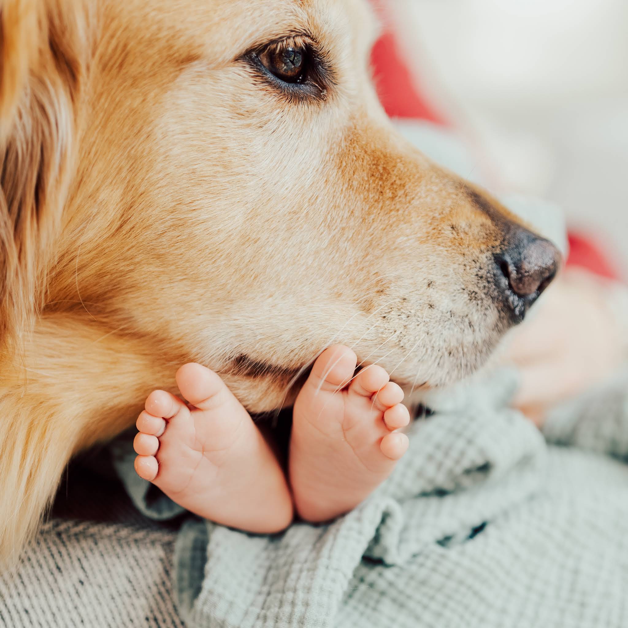 Post from Ellie Golden Life