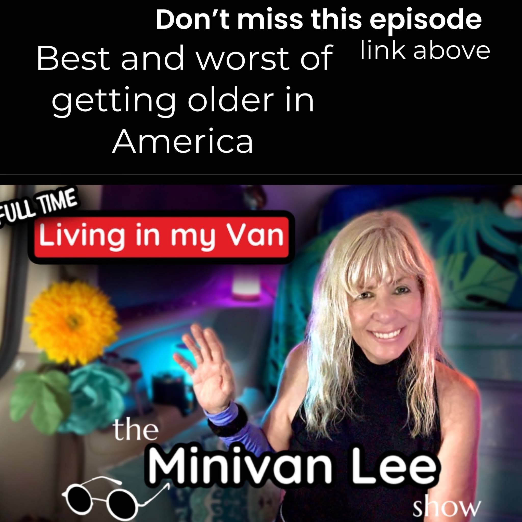 Post from The Minivan Lee Show