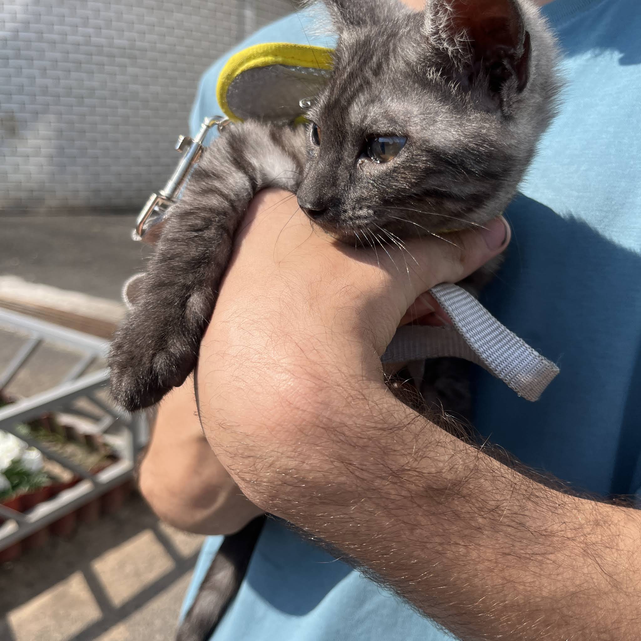 Post from Robin Seplut