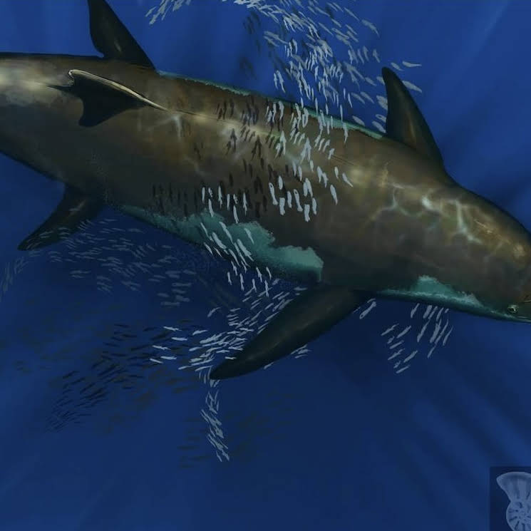 Post from Dizzy Rose