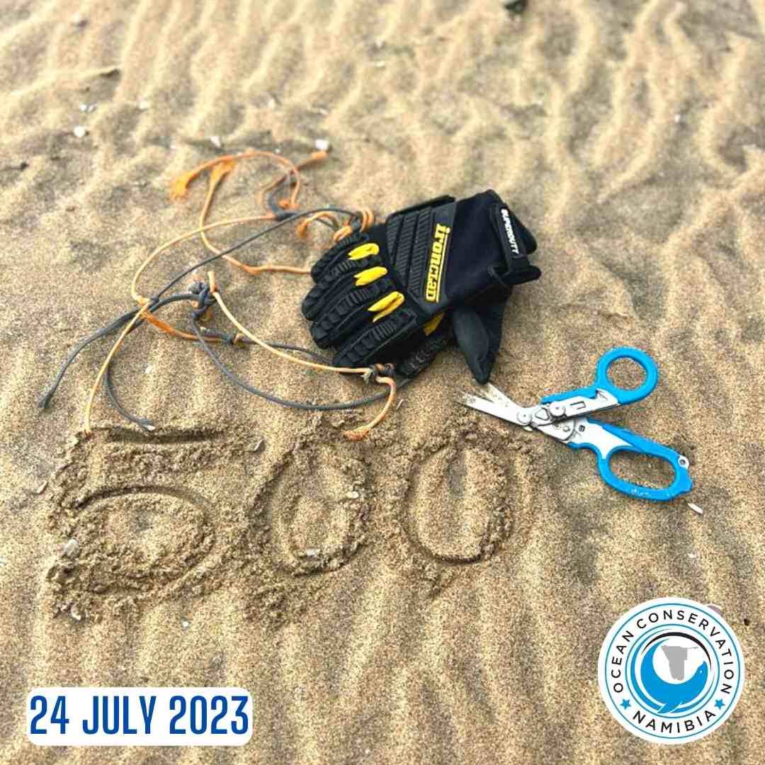 Post from Ocean Conservation Namibia