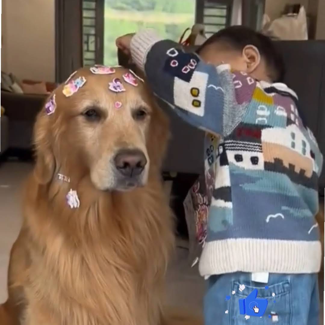 Post from Daily Joy Channel