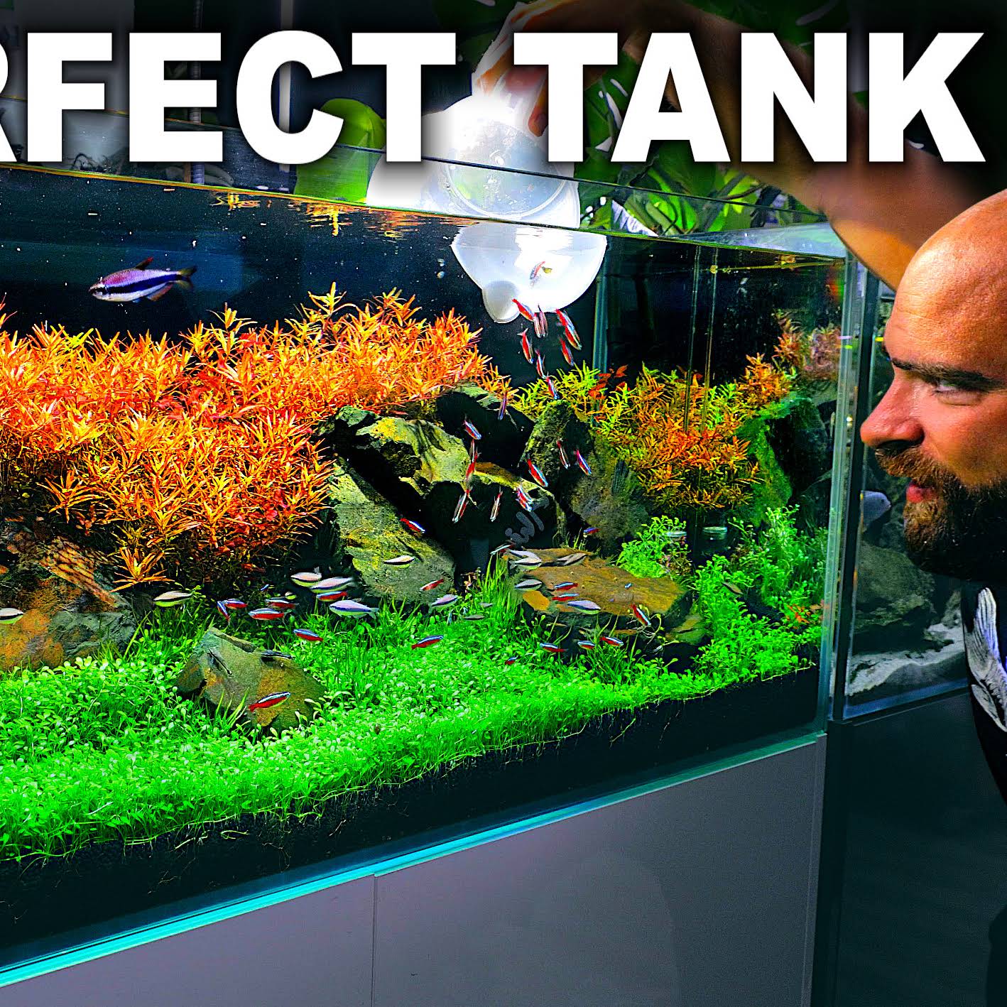 Post from MD Fish Tanks
