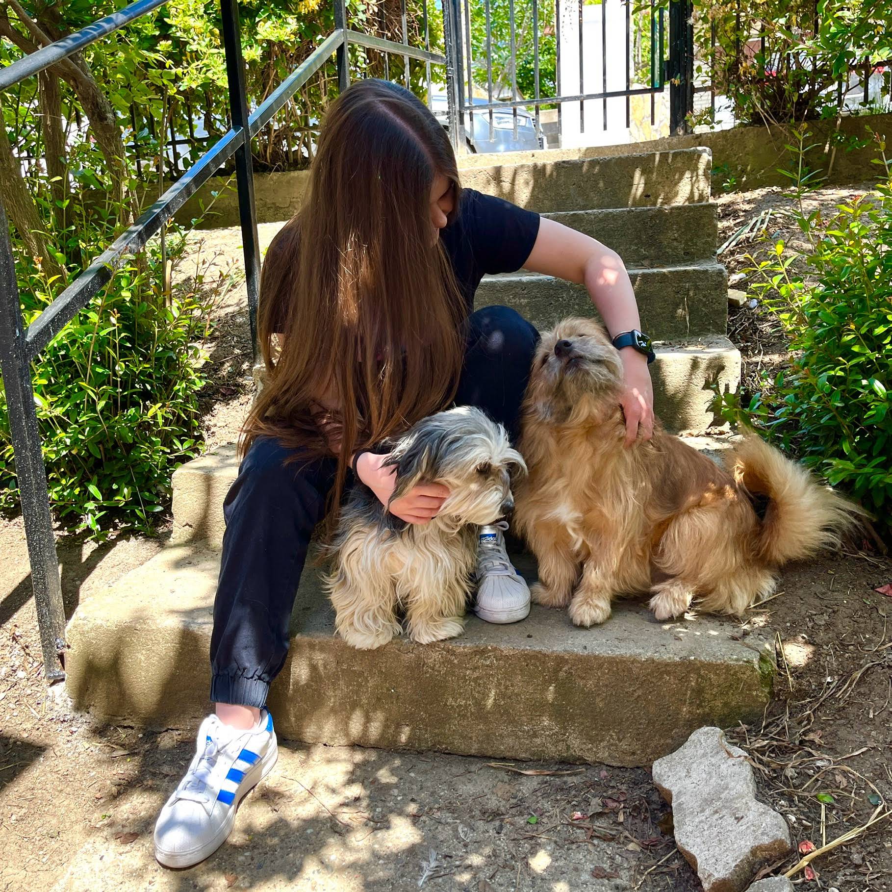 Post from Novke i Smigicka