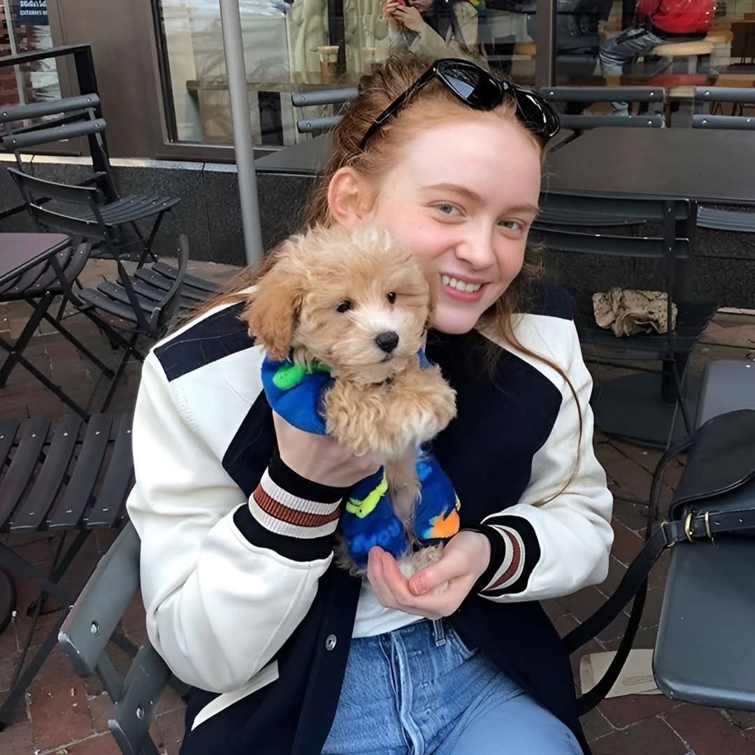 Post From Milliebobbybrown Update