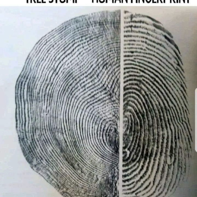 Post from Evan Prothro