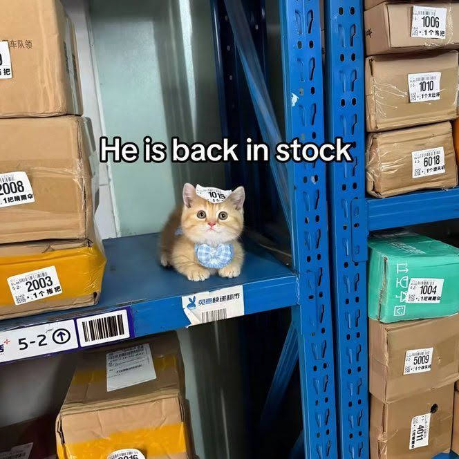 Post from Meme Zee
