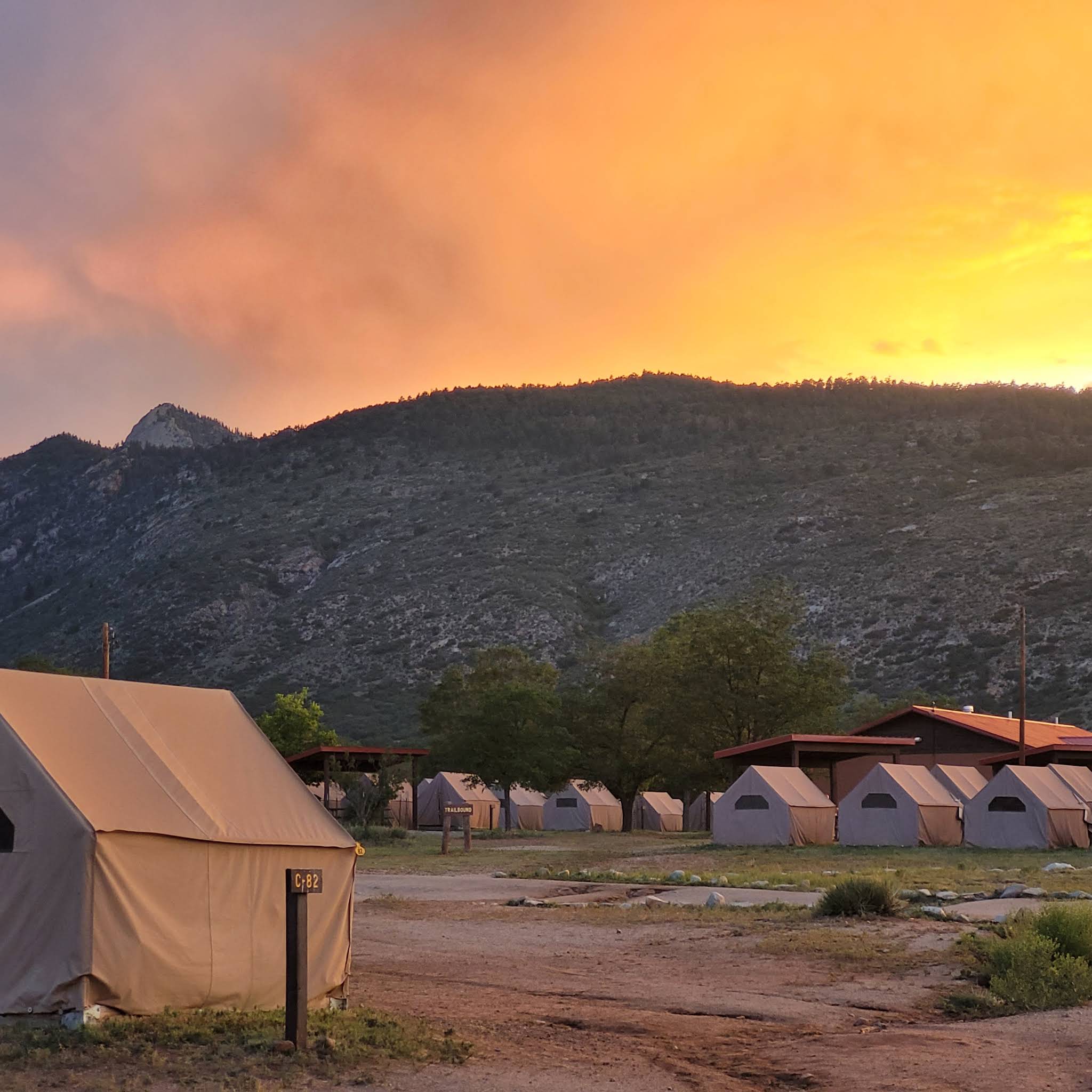 Post from StacheD Training