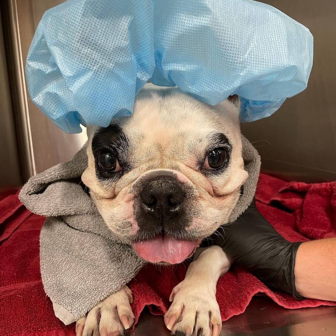 Post from Walter fans Channel