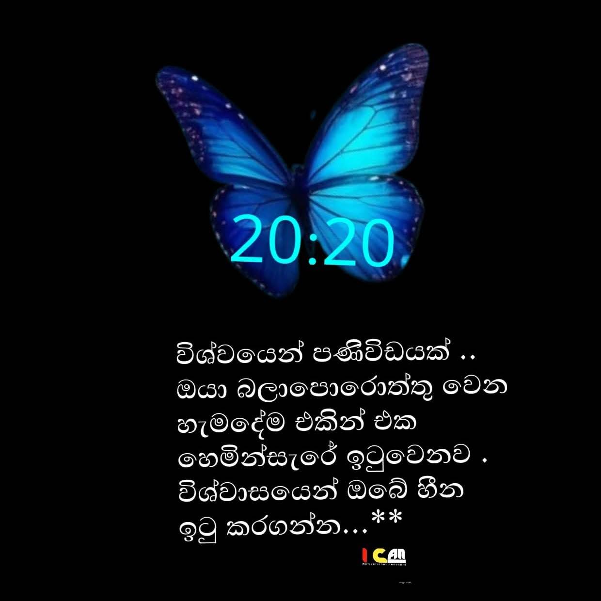 Post from Ayale 1111