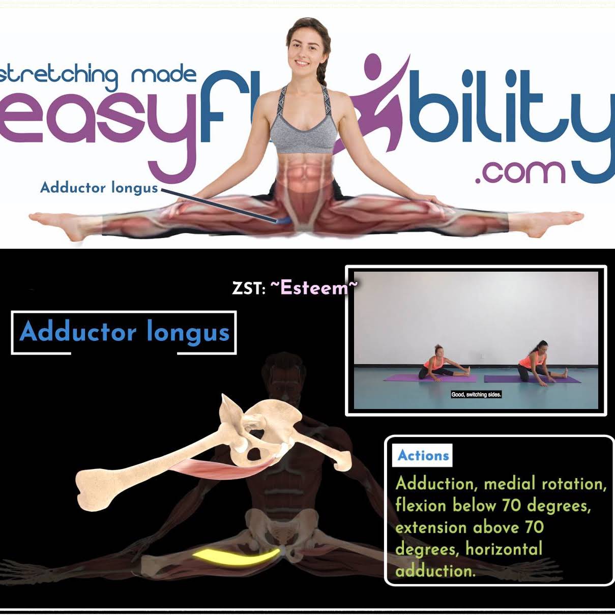 Post from Elasticsteel