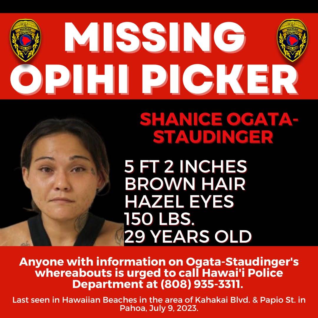 Post from Lighting their way home