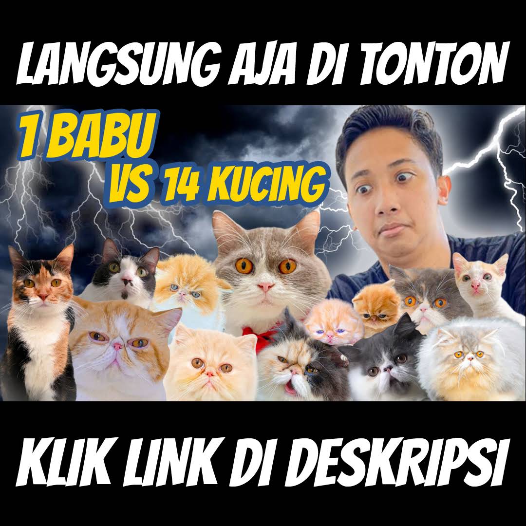 Post from Kucing Cemara