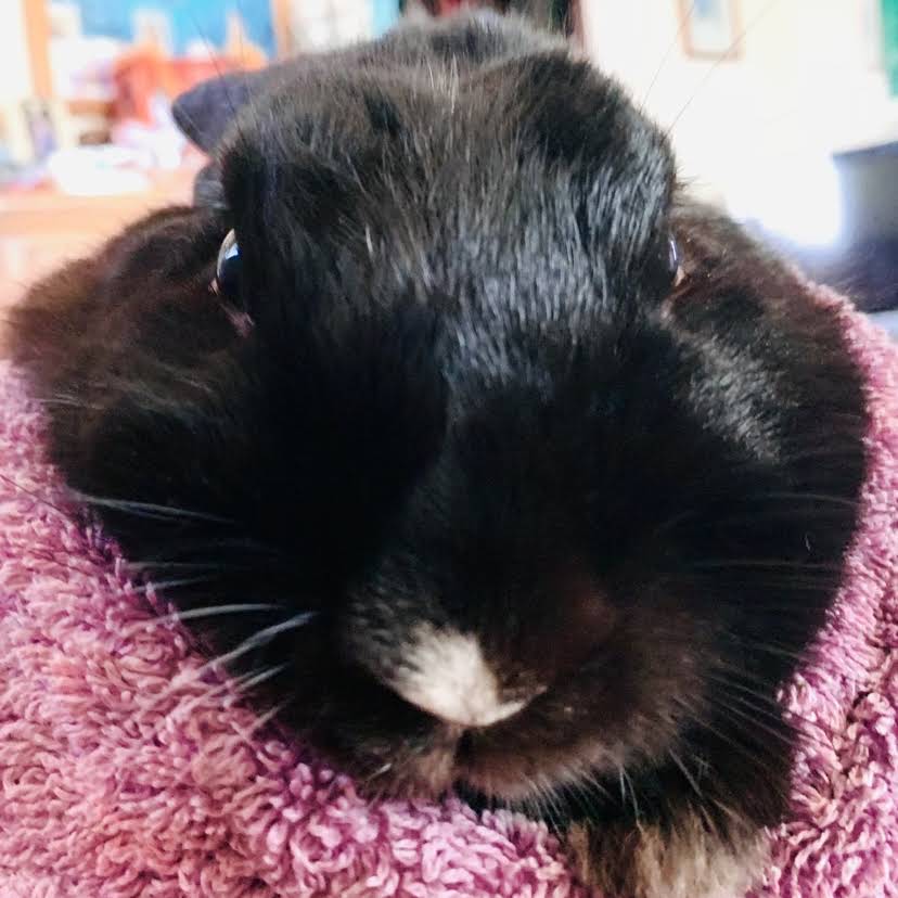 Post from Cookie Blitz