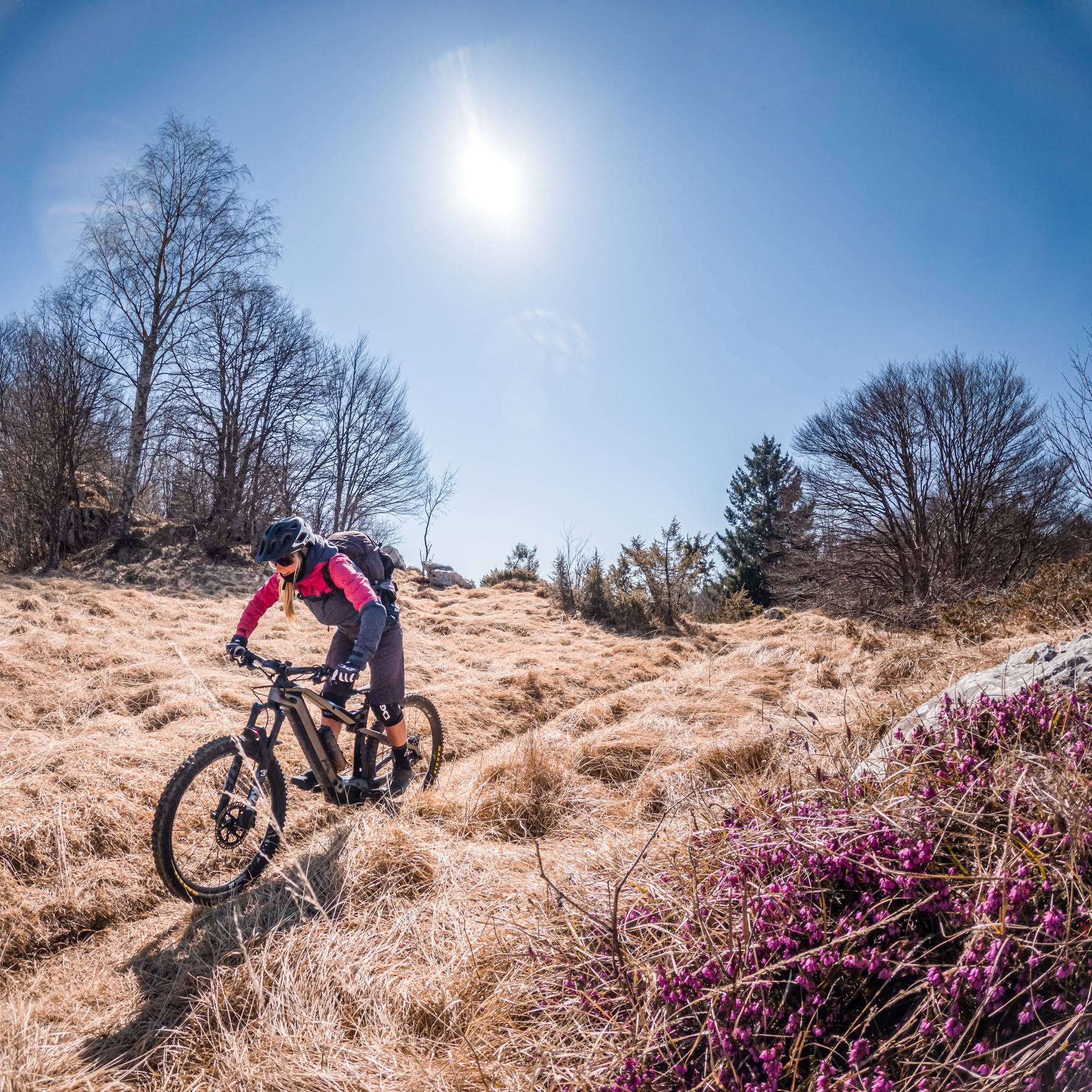 Post from EPIC RIDE INC.