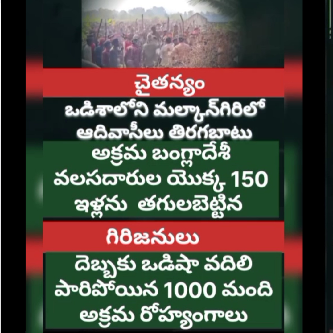 Post from NEMALI TV
