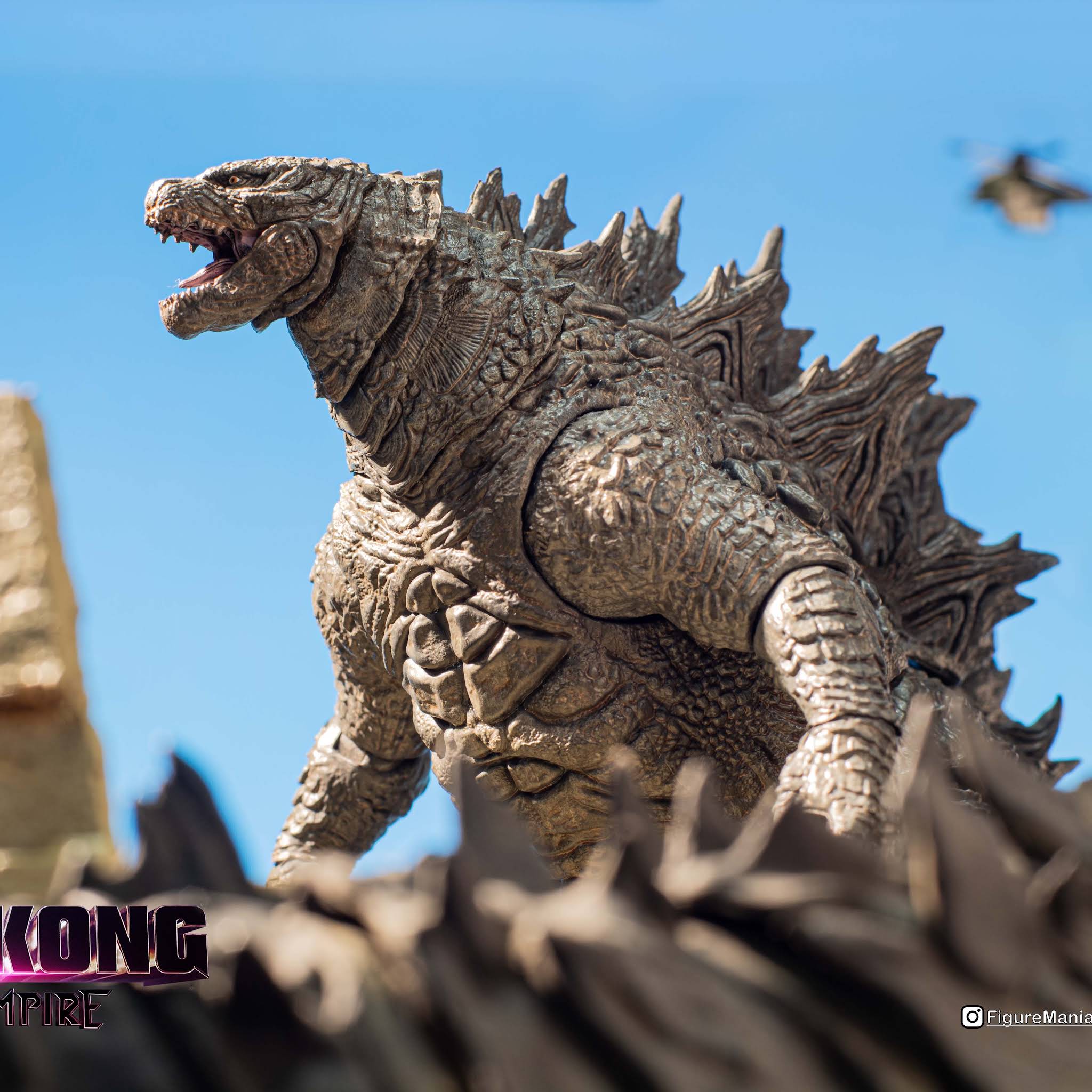 Post from FigureMania Show