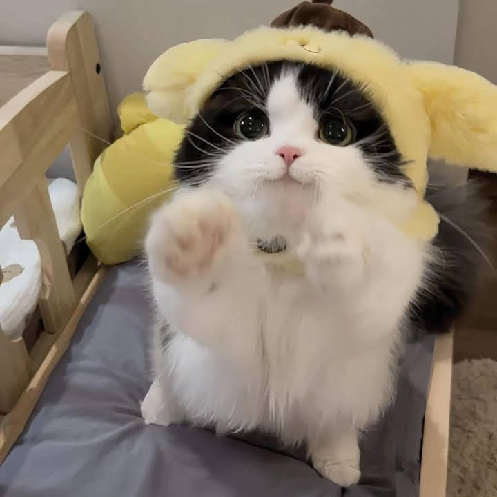 Post from Seegi Channel