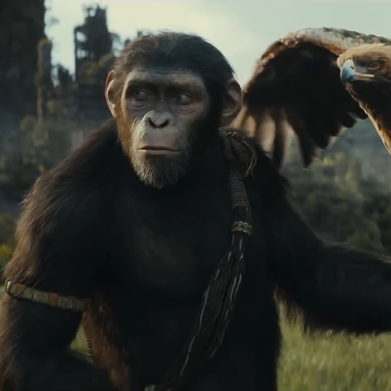 Post from Ape Nation